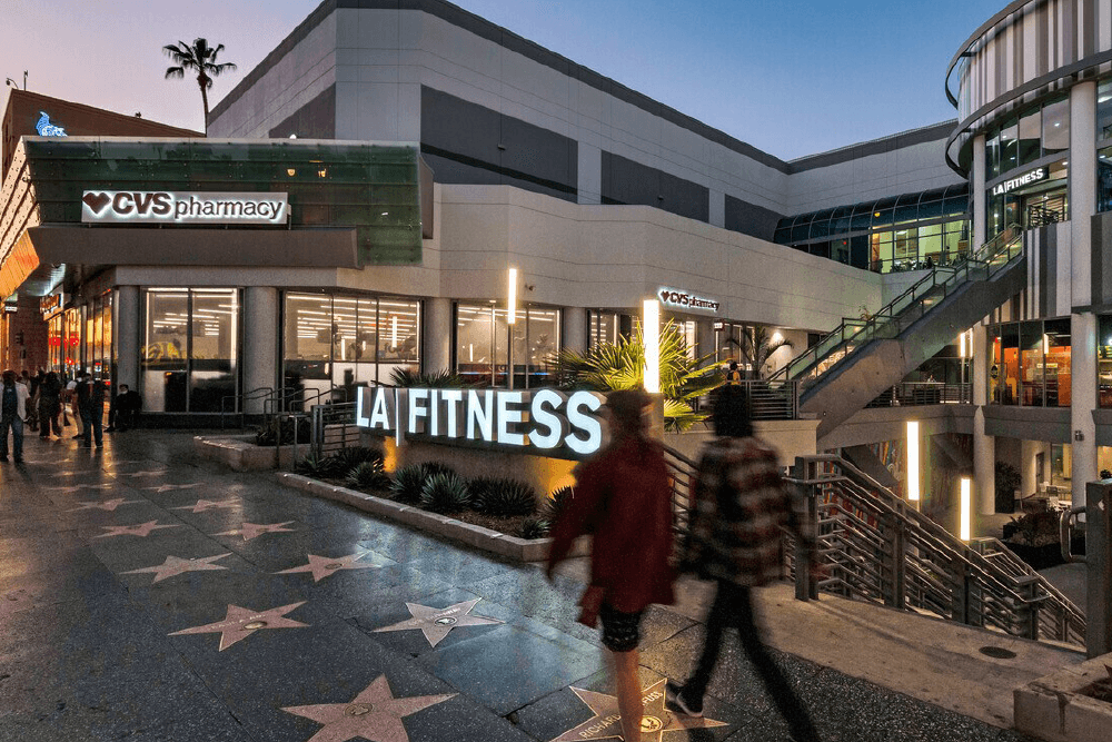 Hollywood Connection – BRANDON COHAN